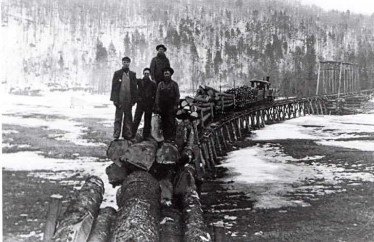 Vermont’s Original Rail to Trail: The Long Trail and Logging Railroads ...