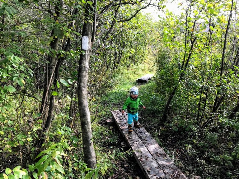 Hike the Short Trail - Green Mountain Club