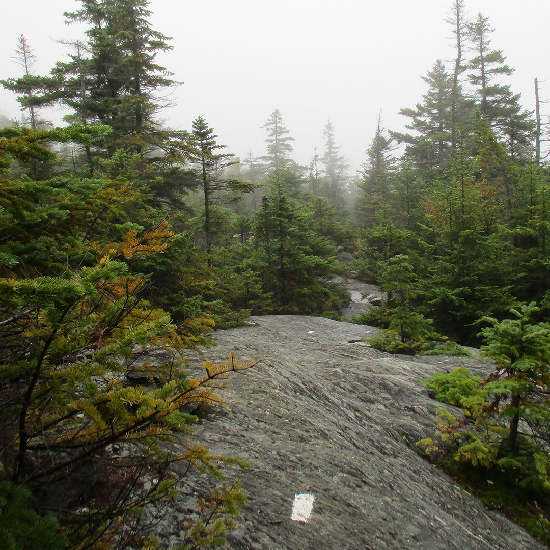 Trail Systems - Green Mountain Club