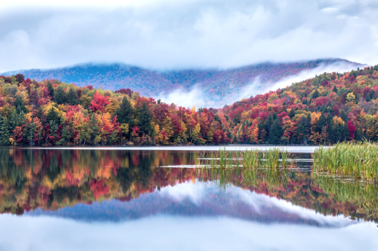 The Ultimate Guide to Fall Hiking in Vermont - Green Mountain Club