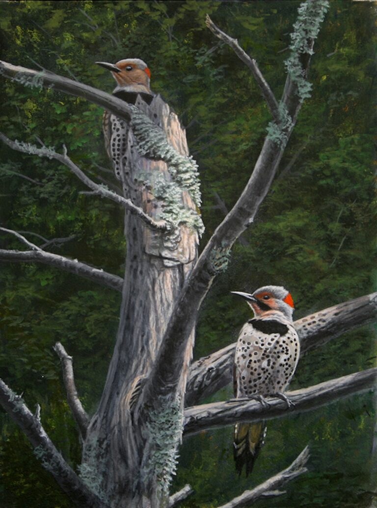 Artists of the Long Trail - Green Mountain Club