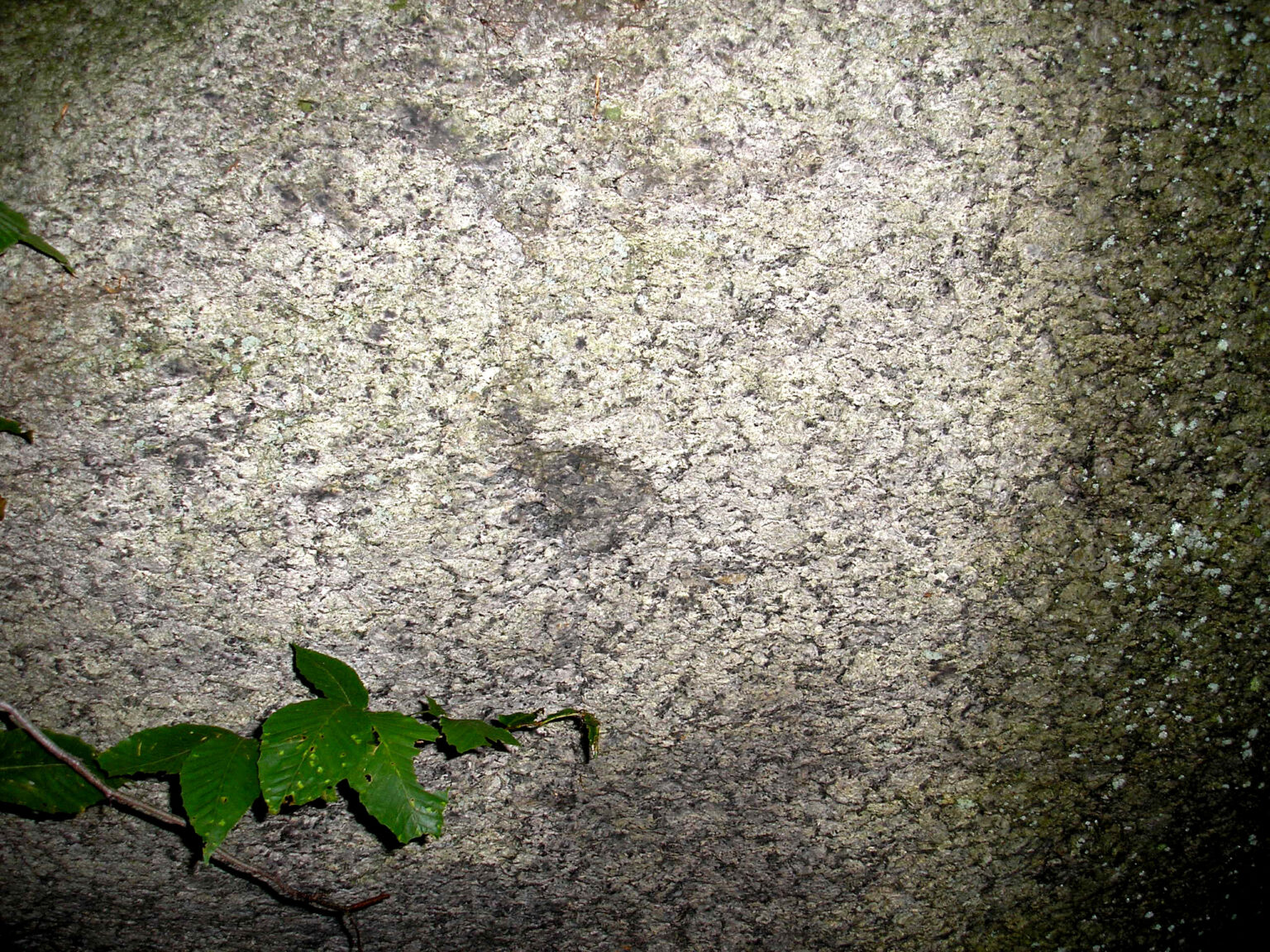 Vermont's Geology on the Southern Long Trail - Green Mountain Club